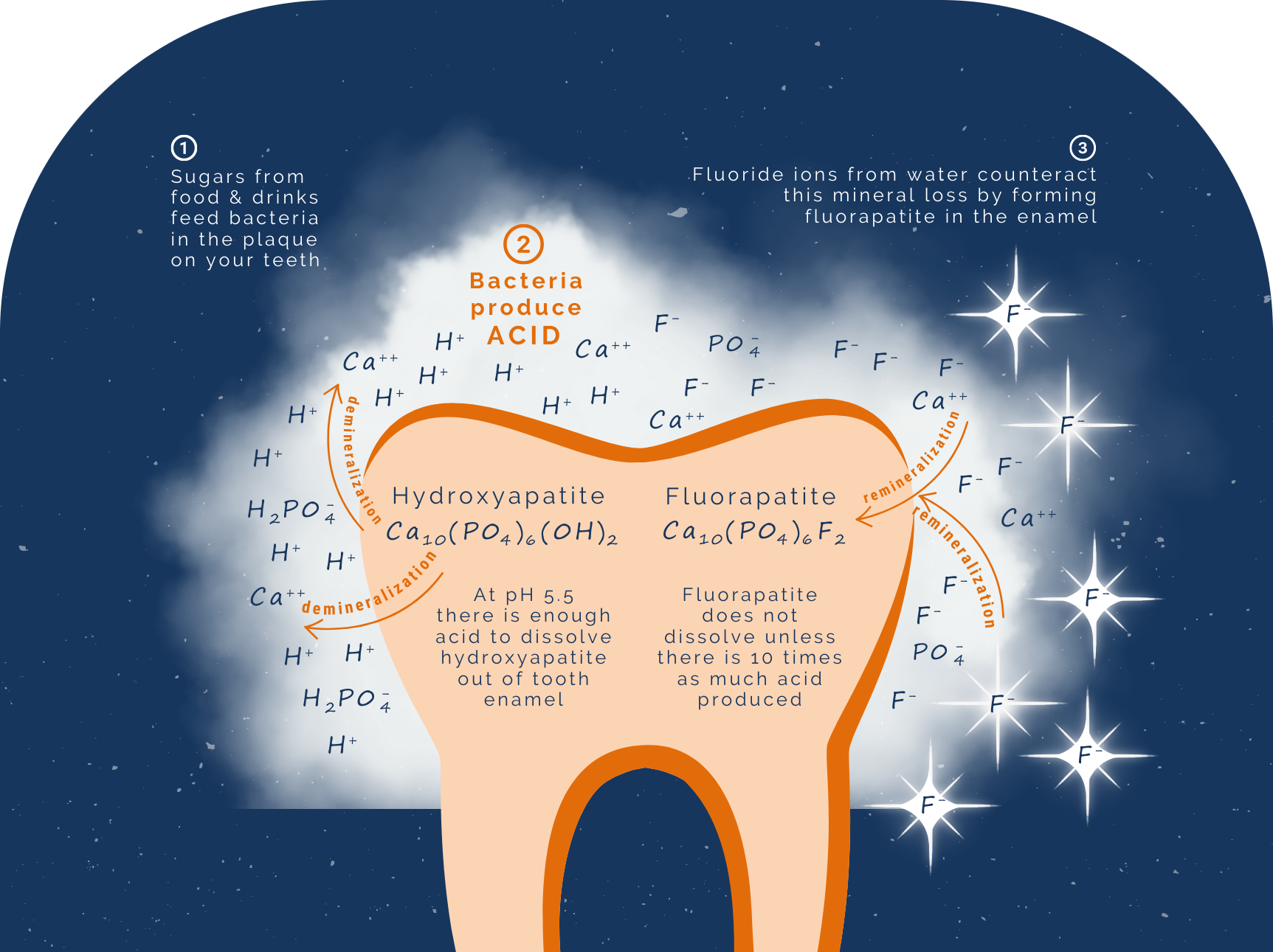 Is Fluoride Good for Teeth? - Fluoride Exposed