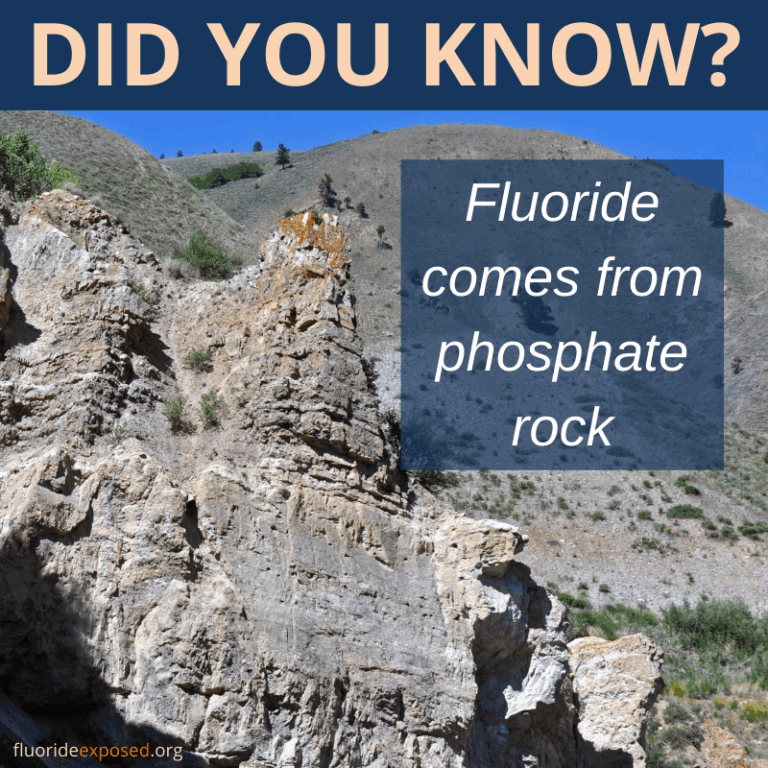 Did you know about phosphate rock? - Fluoride Exposed